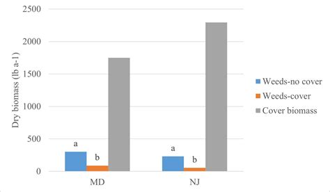 Evaluating Spring Seeded Cover Crop Termination Timing For Weed Control In Watermelon