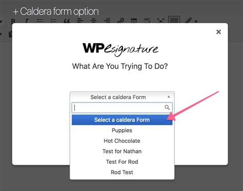 How To Set Up Caldera Forms And Wp E Signature Wp E Signature Support