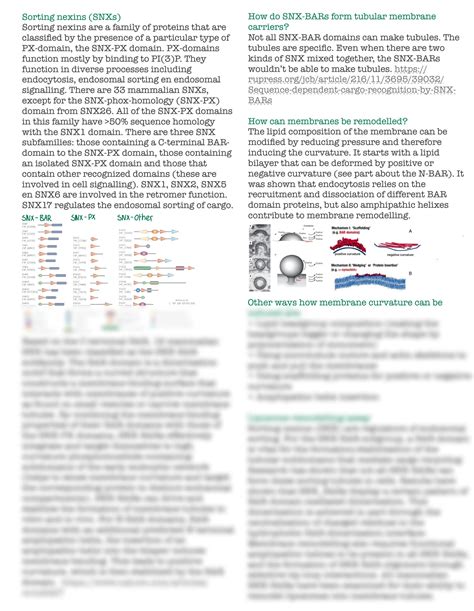 Solution Cell Biology Endosomal Sorting Studypool