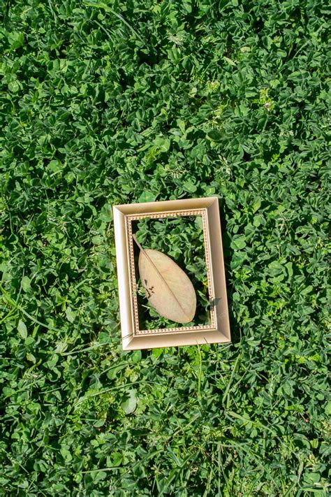 Premium Photo High Angle View Of Bread On Glass Window