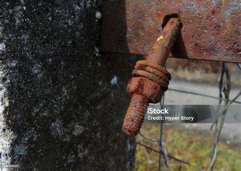 녹슨 볼트 나사 및 리벳 오래된 울타리의 잔해에 매달려있는 녹으로 가득 찬 오래된 변형 된 볼트 고갈 발기 부전 및 고갈 개념 0명에 대한 스톡 사진 및 기타 이미지