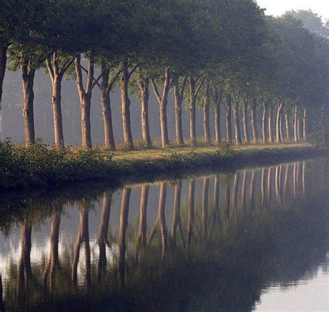 کنگان ساحل عشق