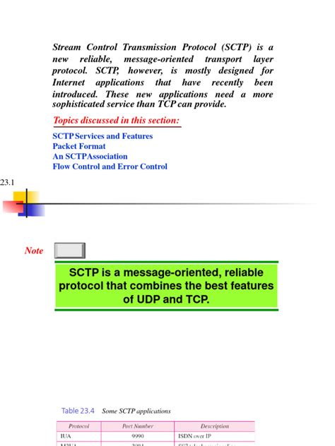Sctp Pdf