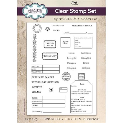 Entomology Passport Elements Creative Expressions Clear Stamp Set 6x8