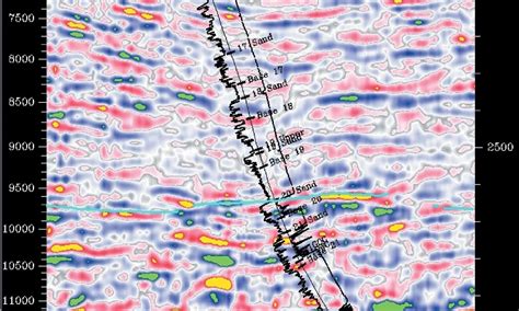 Can Hydrocarbon Saturation Be Estimated Using Density Contrast