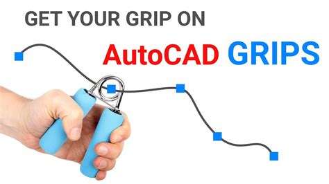 Grips Not Showing In Autocad At Bobbi Thompson Blog