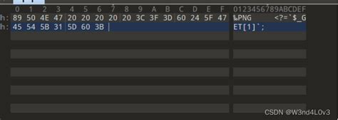 【wp】第一届 “帕鲁杯“ Ctf挑战赛 Web 全解帕鲁杯 Wp Web Csdn博客