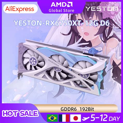 Yeston Placa De V Deo AMD Radeon RX6750XT 12G 192bit GDDR6 Placa De V Deo 7nm