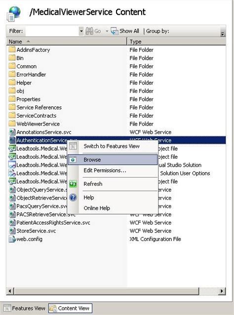 Installing And Configuring The Web Service Medical Web Viewer Help