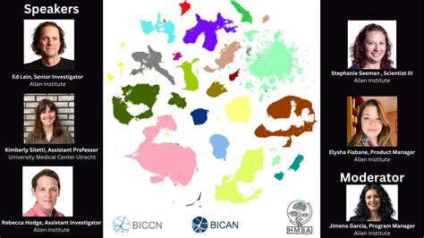 Human And Non Human Primate Brain Atlases And Tools Bican