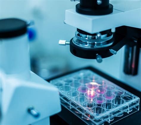 BioTech Solution 华抗免疫技术