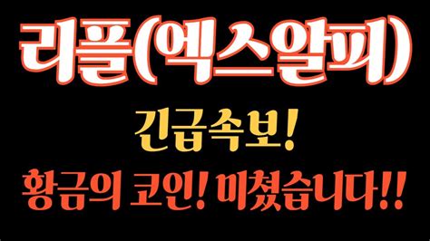 리플 엑스알피 긴급속보 황금의 코인 미쳤습니다 Youtube