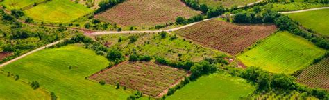 Global Cropland Yield And Area— Land And Carbon Lab