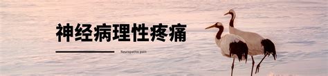 神经病理性疼痛 深圳晶蛋生物医药科技有限公司