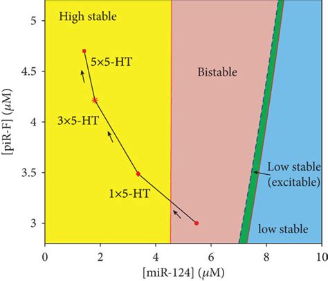 Bifurcation Diagram In The Mir‐124pir‐f Parameter Plane The Red Solid
