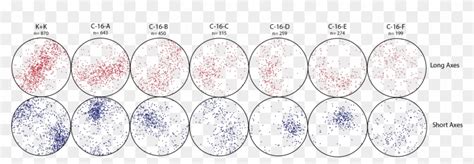 Pore Orientation From Best Fit Ellipsoids Circle Clipart 3964788 Pikpng