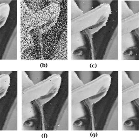Restoration Capability Comparison For Cropped Part Of Lena Image Download Scientific Diagram