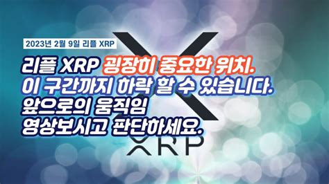 리플 Xrp 굉장히 중요한 위치 이 구간까지 하락 할 수 있습니다 앞으로 이렇게 움직입니다 영상 보시고 판단하세요