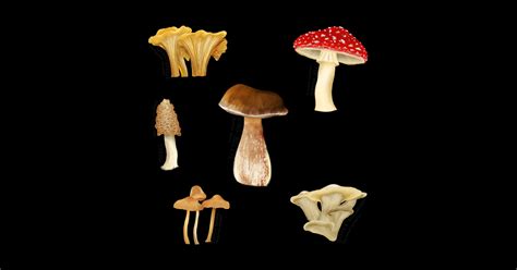 Fungus Among Us Mushroom Sticker Teepublic