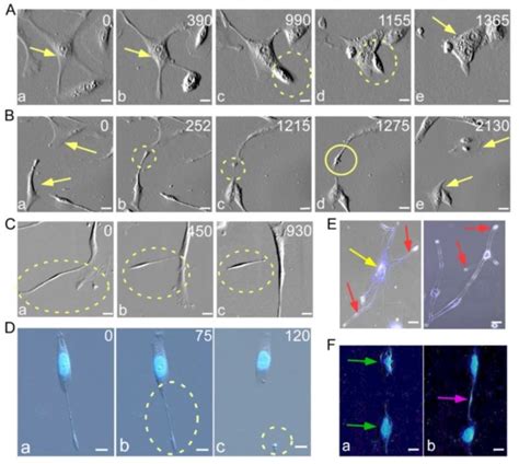 Society Of Biomolecular Imaging And Informatics On Linkedin Non