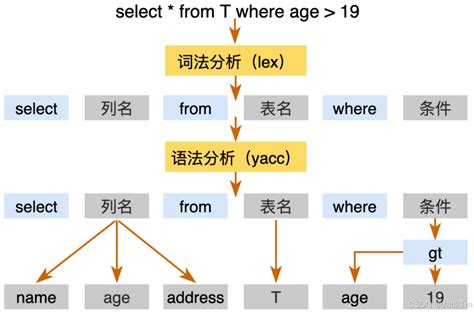 select 语句用法大全：数据库查询的核心力量 数据库select用法 csdn博客