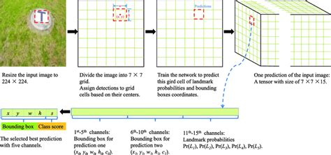 Detection Procedure Of The CNN Based Detection Model CNN Download Scientific Diagram