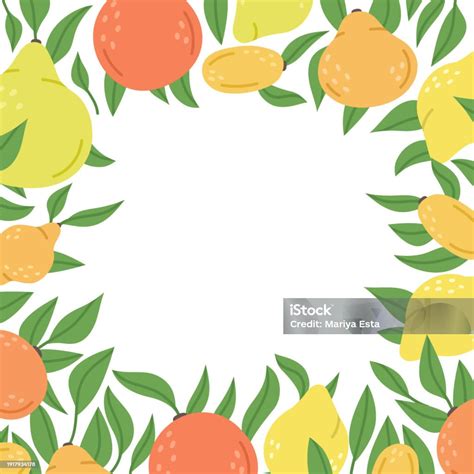 손으로 그린 감귤류 과일 프레임입니다 레몬 오렌지 라임 유자 금귤 신맛 과일 낙서 유기 비타민 C 감귤류 과일 벡터 배경 그림 금귤에 대한 스톡 벡터 아트 및 기타 이미지