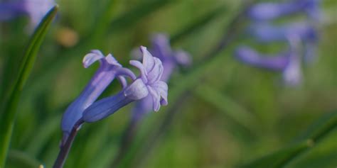 Opensearch And Syslog Ng Blog Syslog Ng Community Syslog Ng Community