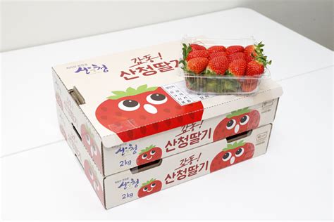 산청군 딸기 포장박스 100만매 공동구매 경남연합일보