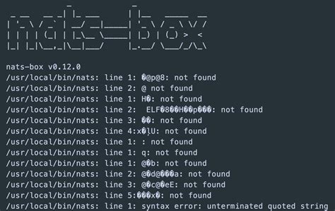 Replace Dockerfile Entrypoint With Cmd · Issue 34 · Nats Ionats Box