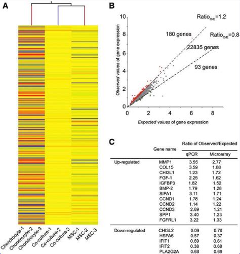 Global Gene Expression Analysis In Co Culture Pellets A Rna Samples