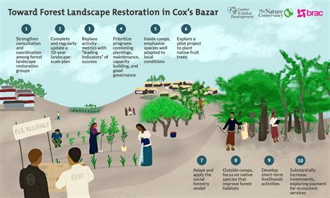 Steps Toward Forest Landscape Restoration In The Context Of The Rohingya Influx Creating