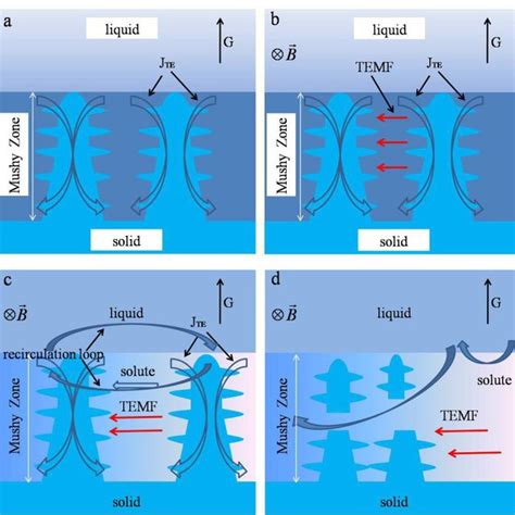Schematic Illustration Of Thermoelectric Magnetic Convection Of Download Scientific Diagram