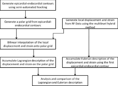 Flow Chart Describing The Lagrangian Displacement Tracking Algorithm