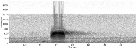 Preprocess Audio Samples — Opensoundscape 0120 Documentation