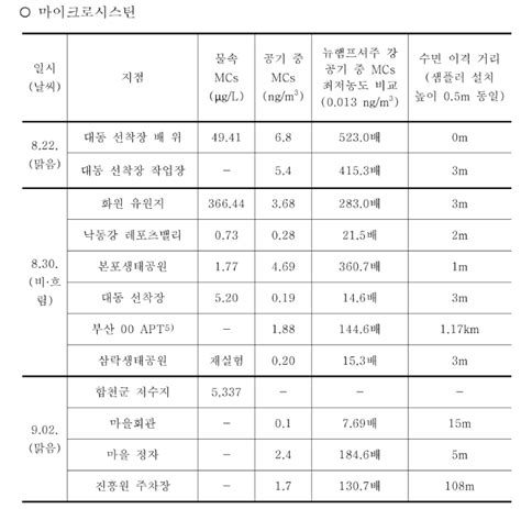 노컷뉴스
