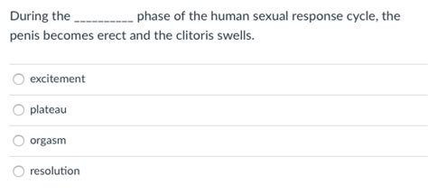 Solved Duingthephase Of The Human Sexual Response Cycle The Chegg Com