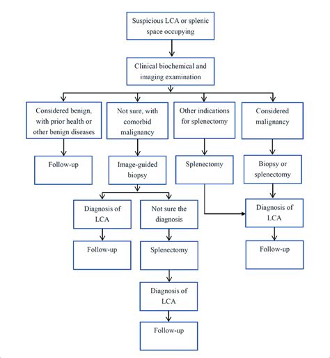 A Process Of Diagnosis And Treatment For LCA Download Scientific Diagram