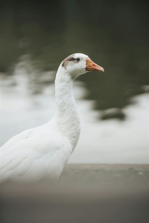 Skip Navigationcaseohcreate9 Avatar Image Photos Download The Best Free Skip