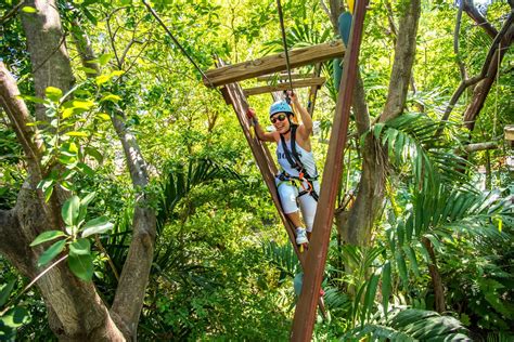 Treetop Trekking Miami The Trekking Group