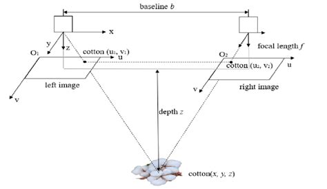 Coordinate System Setting Download Scientific Diagram