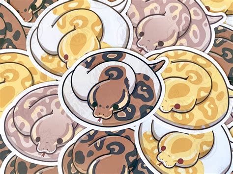 Cute Ball Python Stickers Ball Python Morphs Etsy