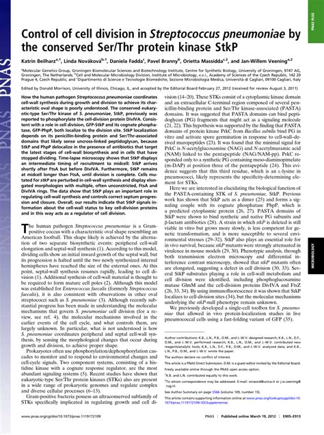 Pdf Control Of Cell Division In Streptococcus Pneumoniae By The Conserved Ser Thr Protein