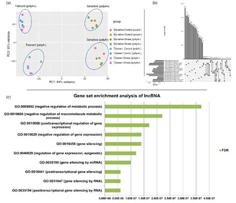 A Principal Component Analysis Showing The Variance Between The Download Scientific Diagram
