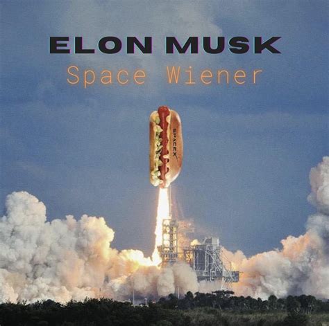 Elon Musk Space Wiener R Fakealbumcovers