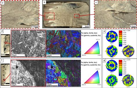 Deformed Bimetallic Microstructure And Ebsd Analysis A Microstructure