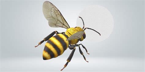 꿀벌은 투명 배경에 고립 프리미엄 Psd 파일