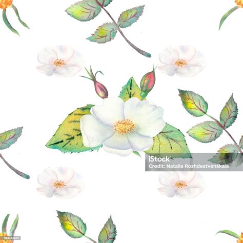 매끄러운 패턴 꽃과 장미 엉덩이 의 과일 수채화 꽃 그림입니다 꽃 화환 결혼식 구성 기념일 생일 초대 인사말 카드의 보헤미안 꽃다발 들장미에 대한 스톡 벡터 아트 및 기타