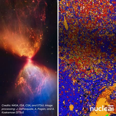 Nucleai On Linkedin Multiplex Immunohistochemistry Immunofluorescence Pathology…