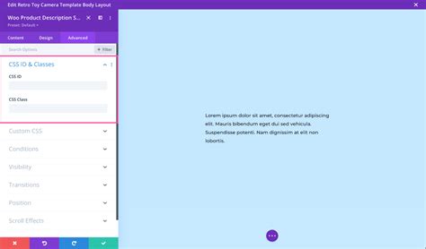 The Divi Woo Product Description Module Elegant Themes Documentation